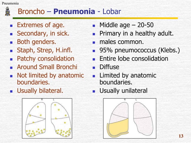 Pathology of Pneumonia | PPTX