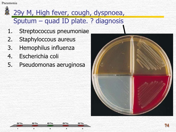 Pathology of Pneumonia