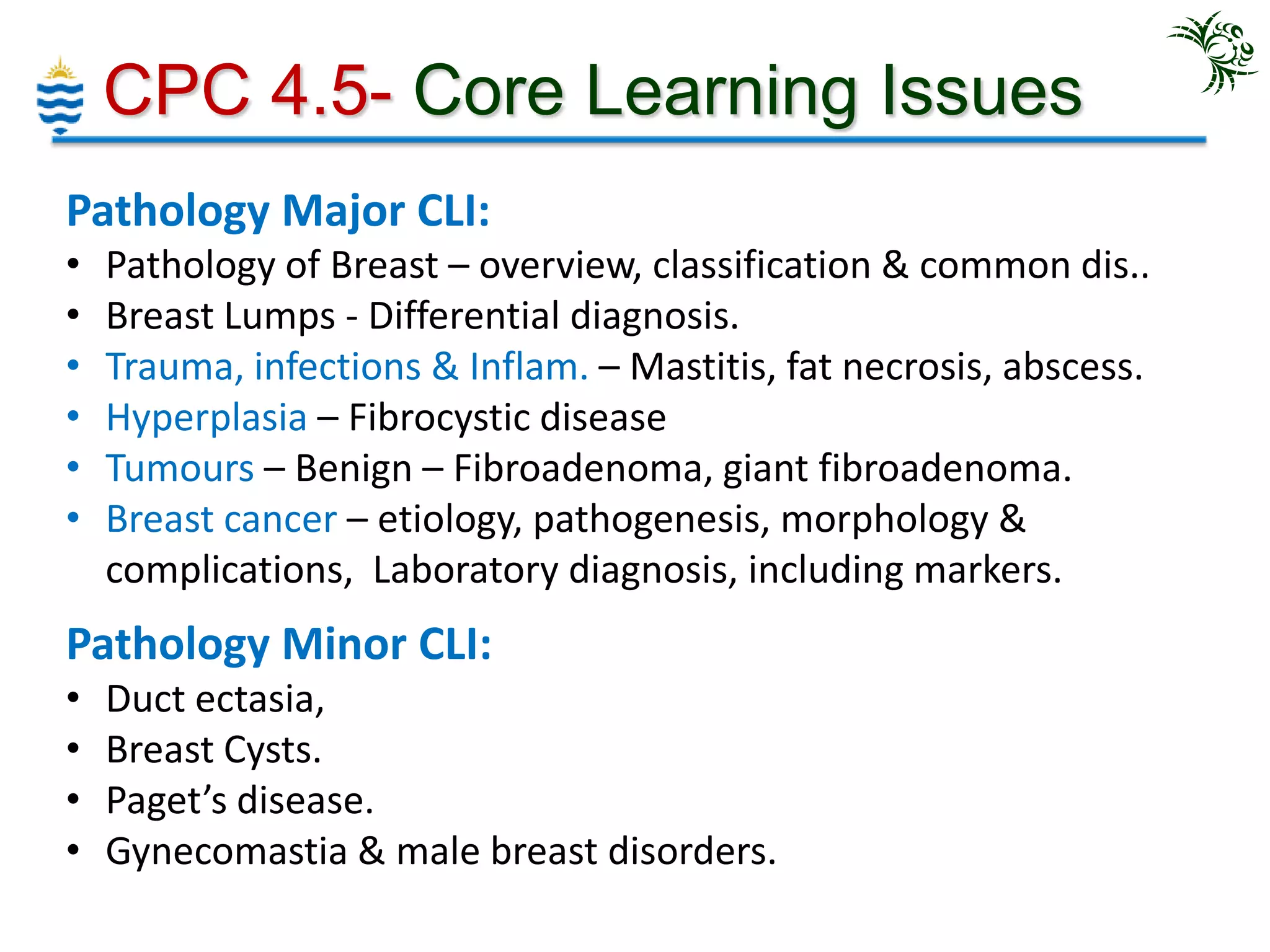 Breast Pathology Lecture - 2013 | PPTX