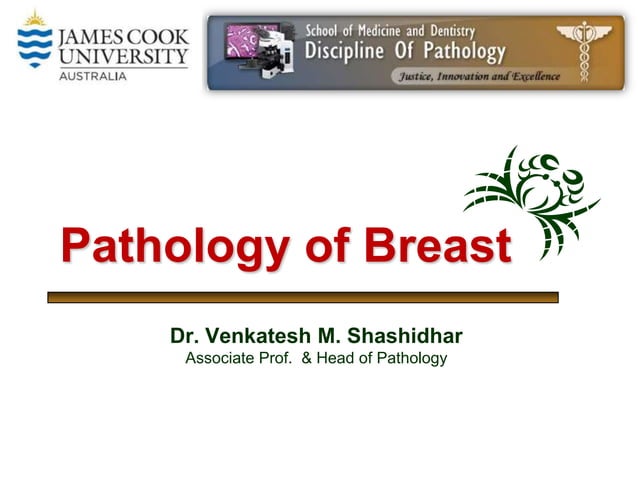 Breast Pathology Lecture - 2013 | PPTX | Cancer | Diseases and Conditions