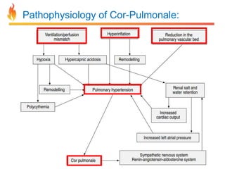 Copd Pathophysiology