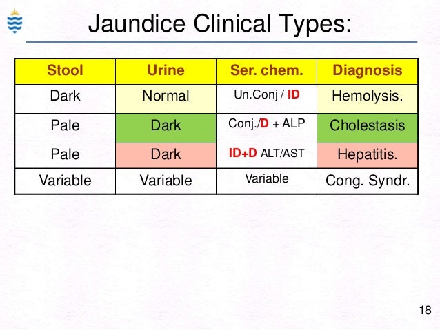 Pathology of Hepatitis - Lecture