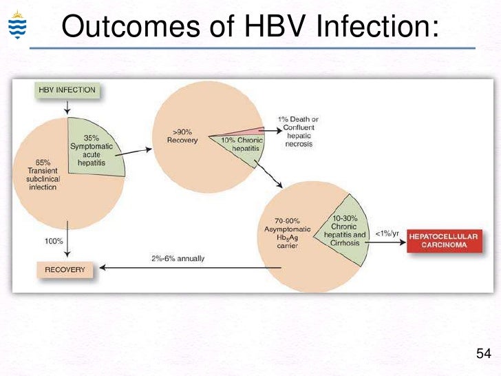Most common vector of hepatitis a transmission - denfare