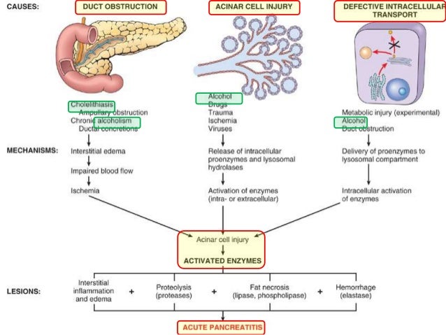 Pathology of Biliary Disorders.