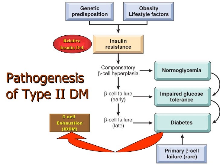 Type 2 Diabetes Pathophysiology Diagram