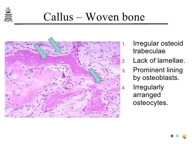 Pathology of Trauma