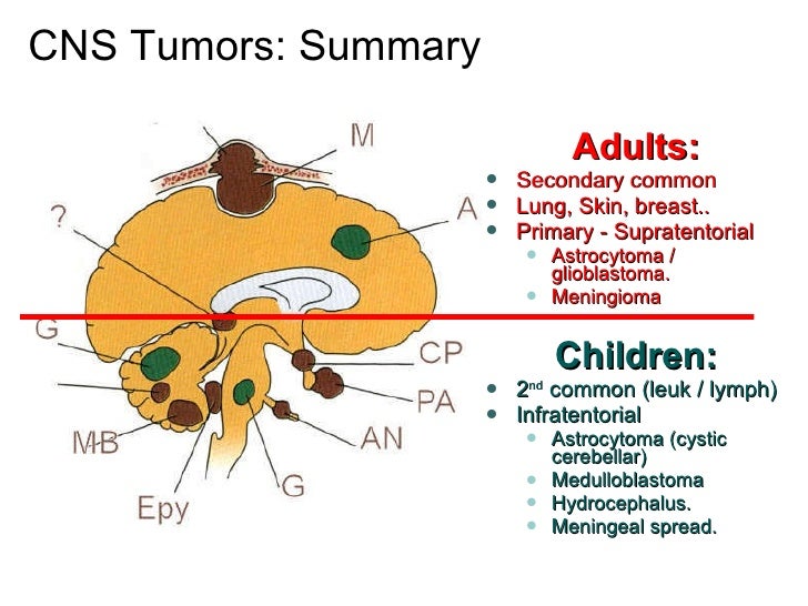 Pathology of CNS Tumors