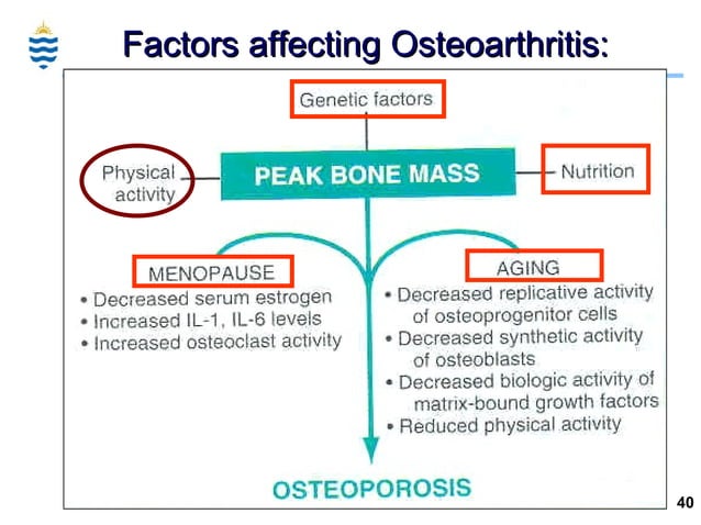 Pathology of Arthritis | PPT