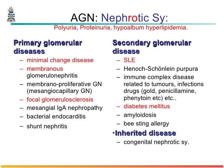 Pathology of Glomerulonephritis