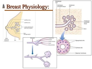 Pathology of Breast Disorders | PPT
