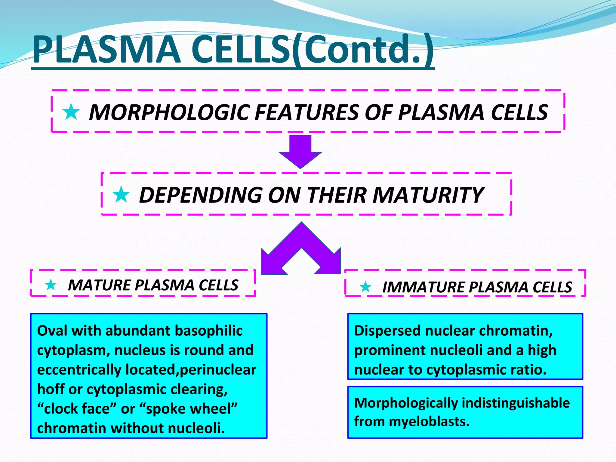 Plasma Cell Dyscrasias.pptx