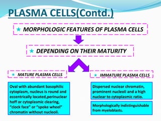 Plasma Cell Dyscrasias.pptx