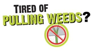 How to Remove Weeds from Paving Stones and Install EnviroSAND | PPT