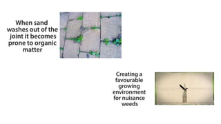 How to Remove Weeds from Paving Stones and Install EnviroSAND | PPT