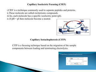CP Capillary electrophoresis (1).pdf