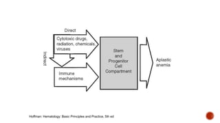 MAHA/TTP/DIC/HUS/aHUS | PPTX