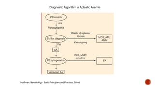 MAHA/TTP/DIC/HUS/aHUS | PPTX
