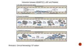 MAHA/TTP/DIC/HUS/aHUS | PPTX