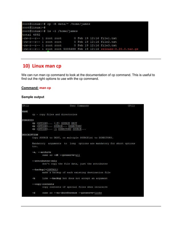 Cp command in Linux | PDF
