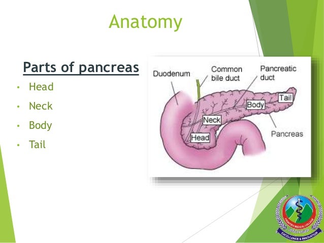 Acute Pancreatitis