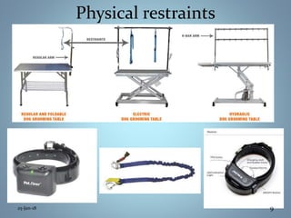 CPCSEA- Guidelines | PPTX