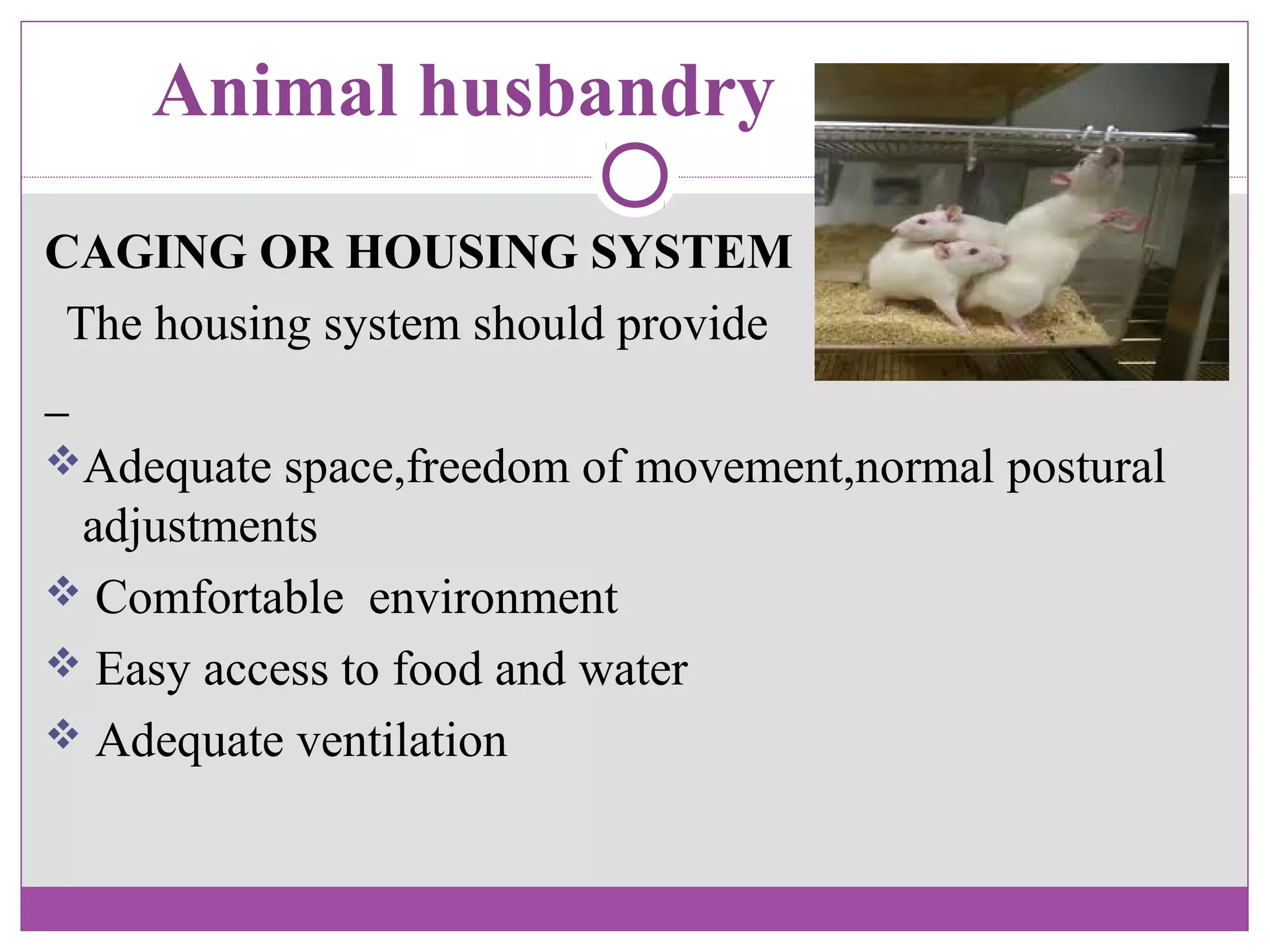 CPCSEA Guidelines | PPT