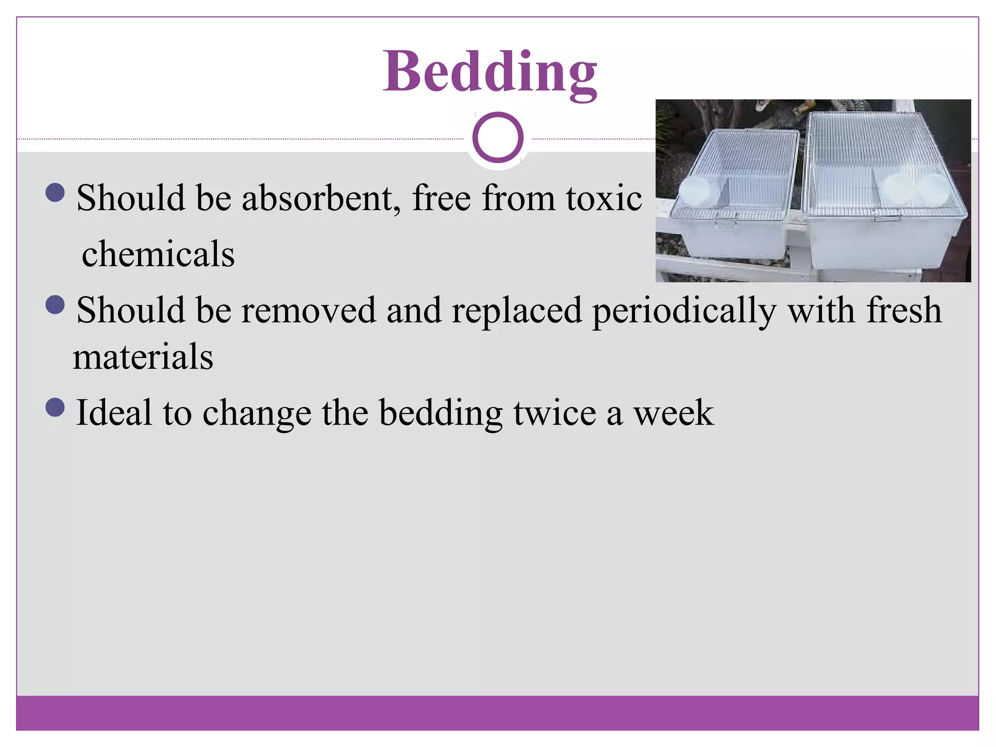 CPCSEA Guidelines | PPT