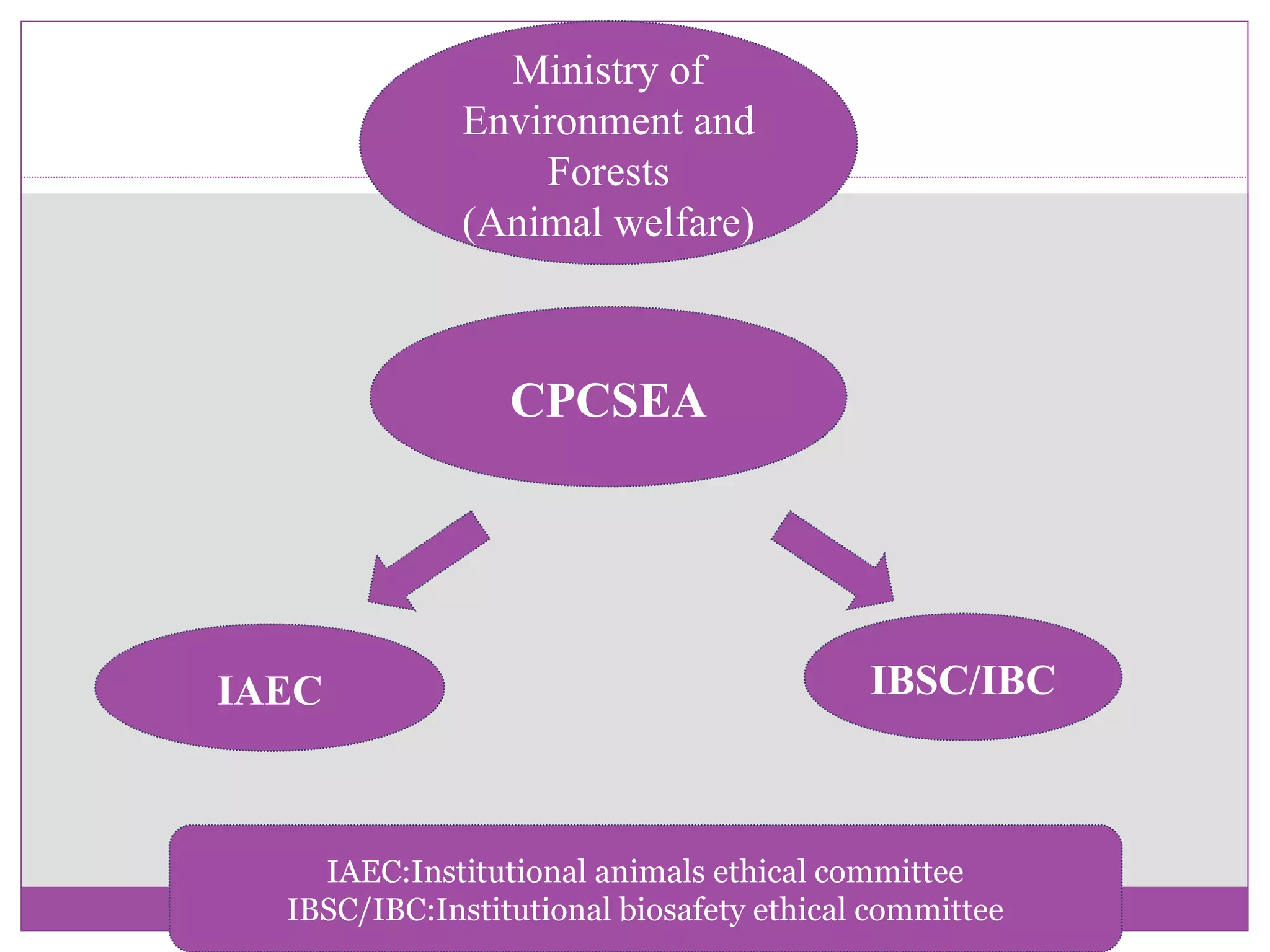 CPCSEA Guidelines | PPT