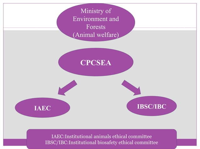 CPCSEA Guidelines | PPT | Infectious Diseases | Diseases and Conditions