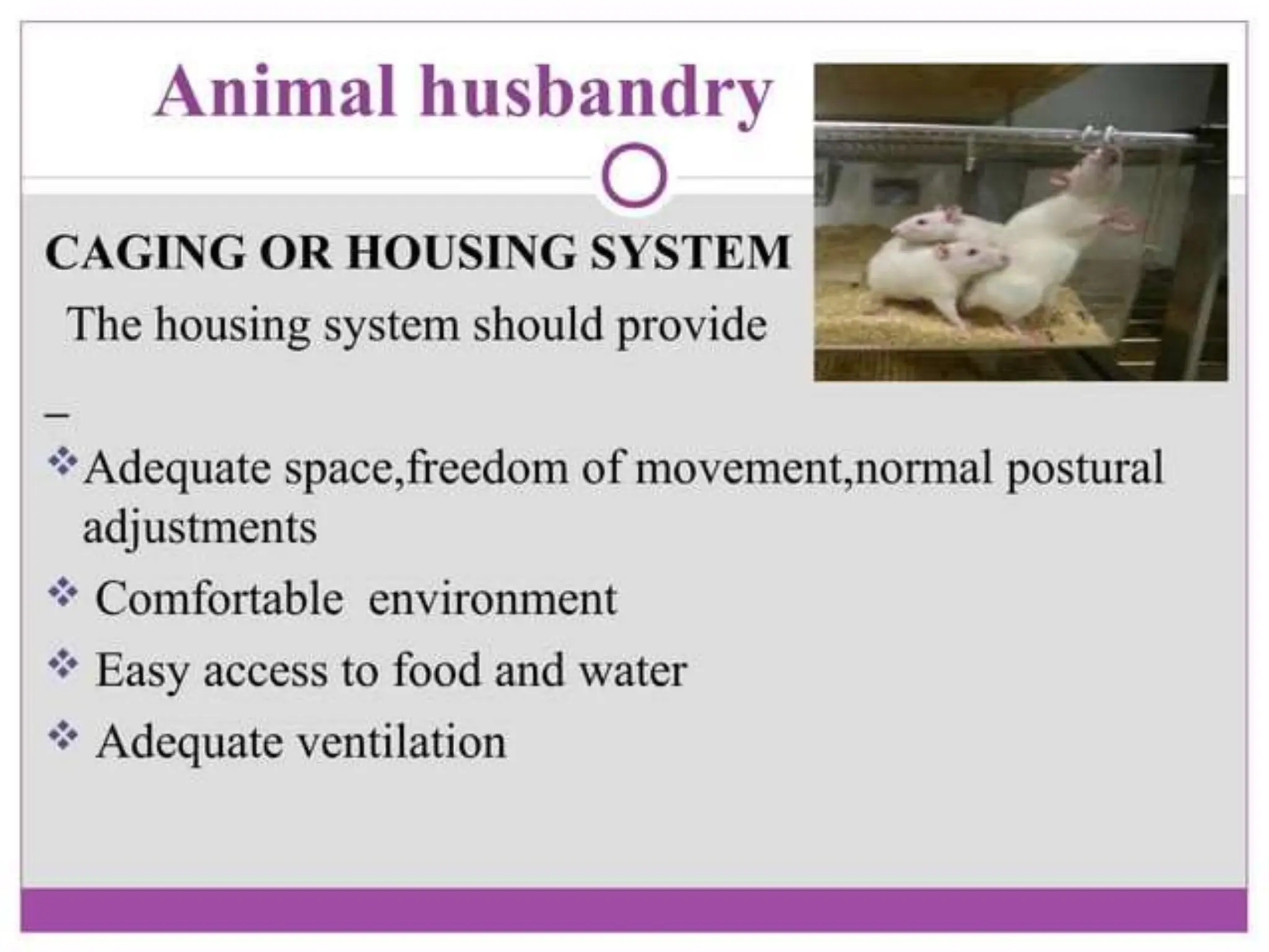 CPCSEA guidelines and IAEC committee.pptx