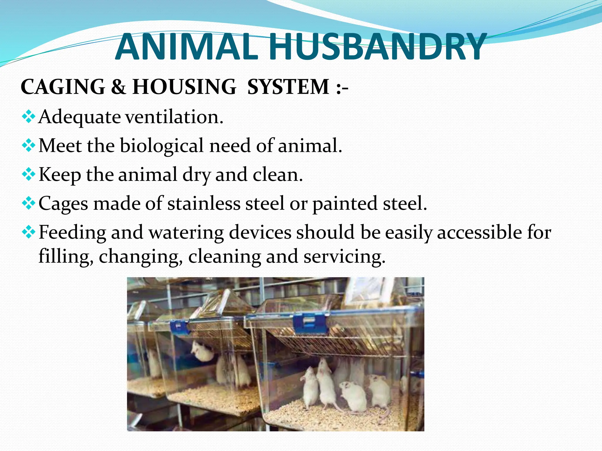 CPCSEA GUIDELINE .pptx