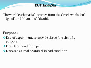 CPCSEA GUIDELINE .pptx