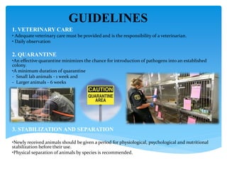 CPCSEA Guidelines | PPTX