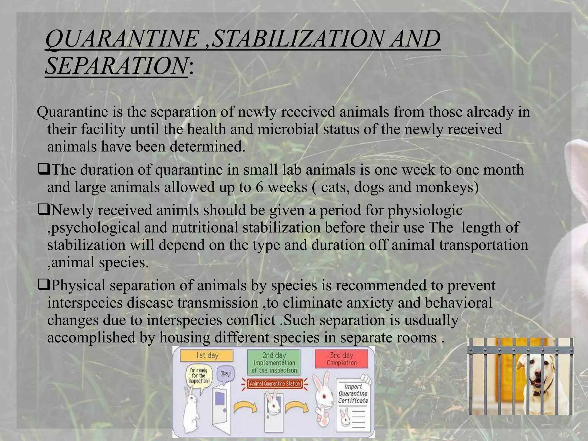 Cpcsea guidelines | PPTX