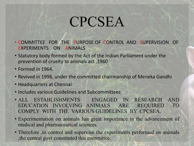 Cpcsea guidelines | PPT