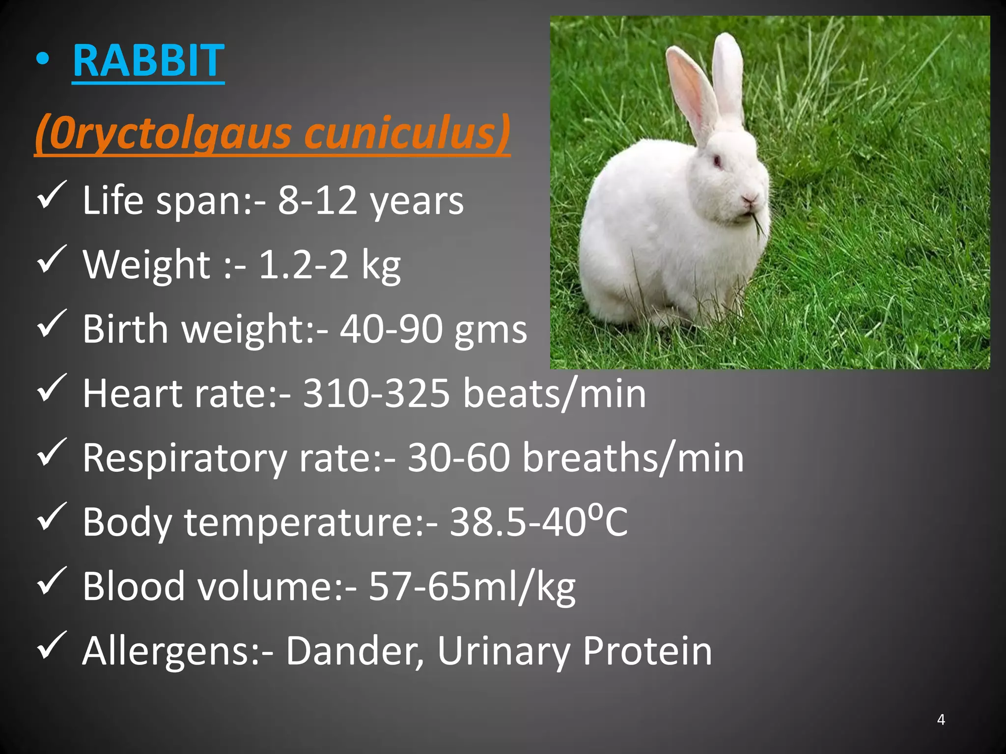 CPCSEA Guidelines | PDF
