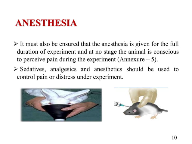 CPCSEA guidelines for lab animal facility | PPTX | Infectious Diseases | Diseases and Conditions