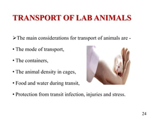 CPCSEA guidelines for lab animal facility | PPTX