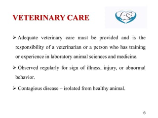 CPCSEA guidelines for lab animal facility | PPTX