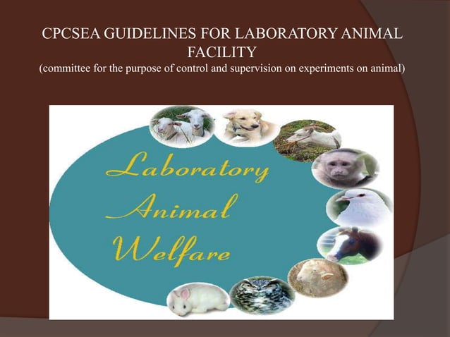 Cpcsea guidelines for laboratory animal facility | PPTX | Veterinary ...