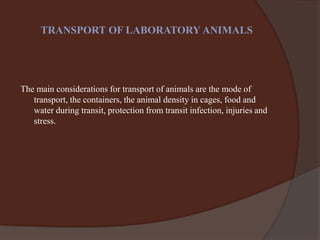 Cpcsea guidelines for laboratory animal facility | PPTX
