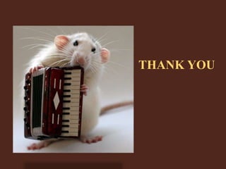 Cpcsea guidelines for laboratory animal facility | PPTX