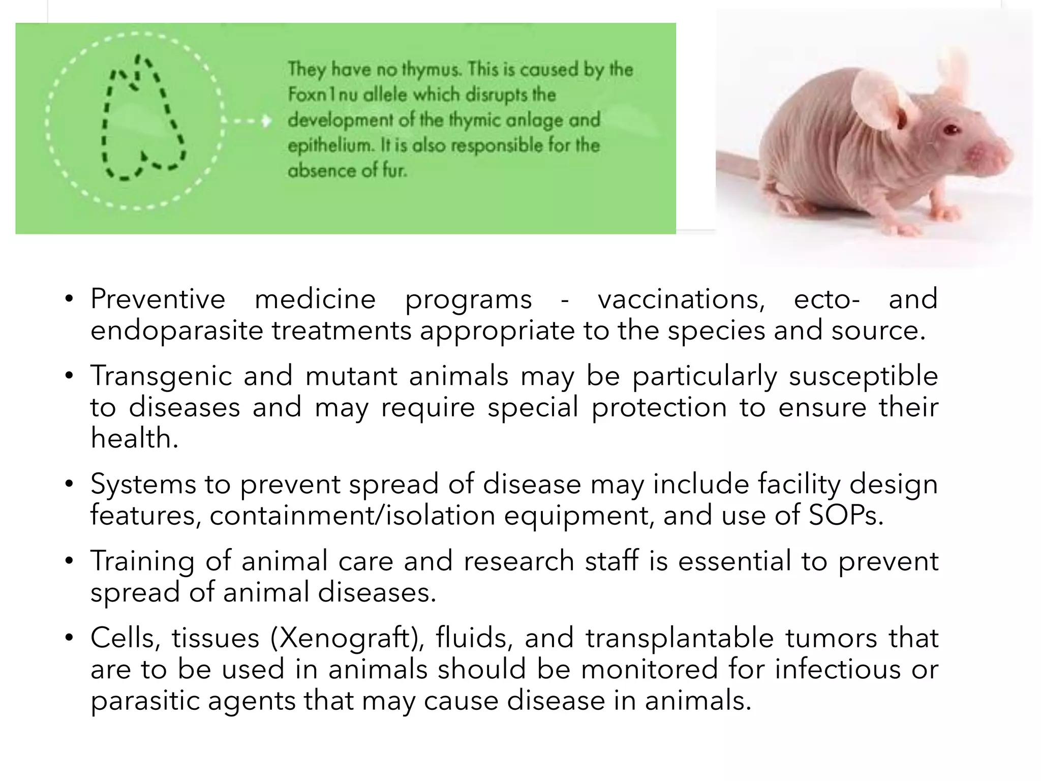 CPCSEA guidelines for laboratory animal facility | PDF