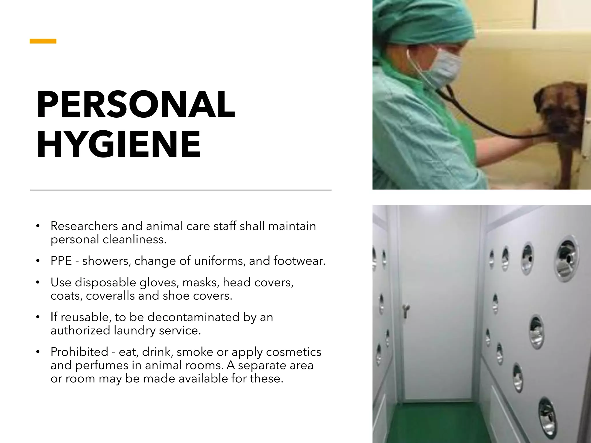 CPCSEA guidelines for laboratory animal facility | PDF