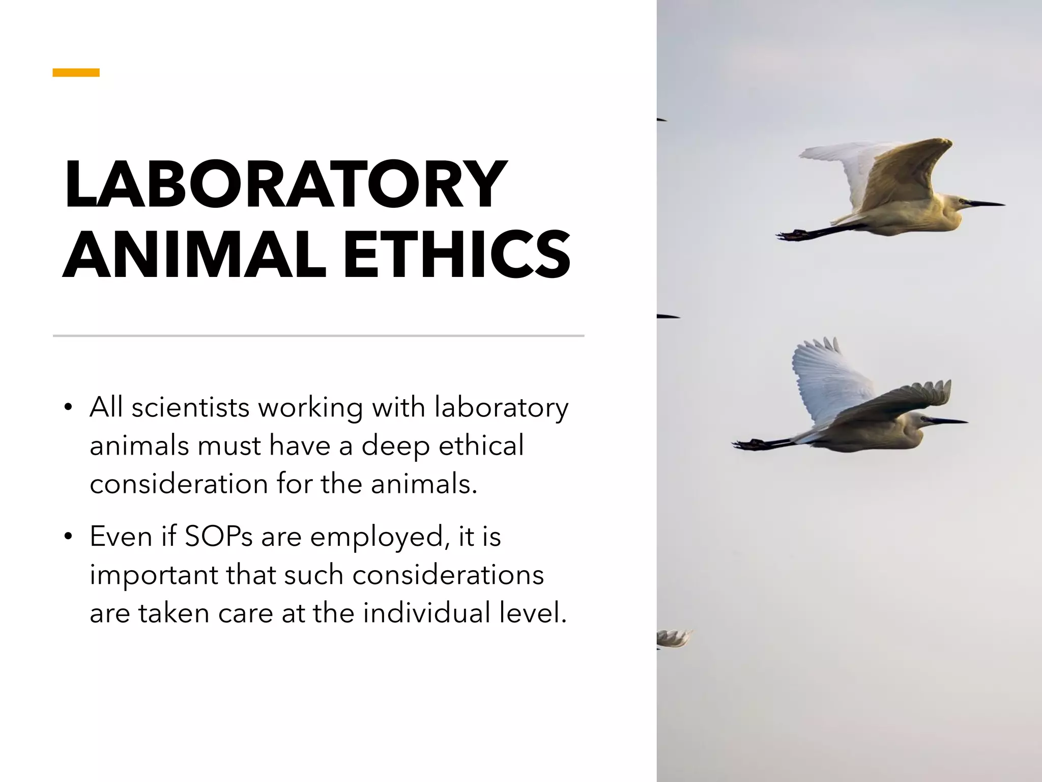 CPCSEA guidelines for laboratory animal facility | PDF