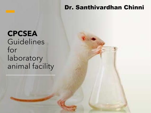 CPCSEA guidelines for laboratory animal facility | PDF | Infectious ...