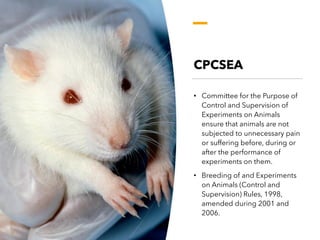 CPCSEA guidelines for laboratory animal facility | PDF