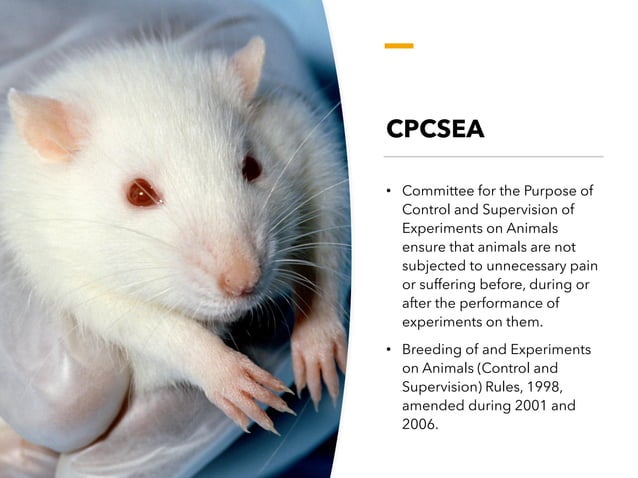 CPCSEA guidelines for laboratory animal facility | PDF | Infectious Diseases | Diseases and ...