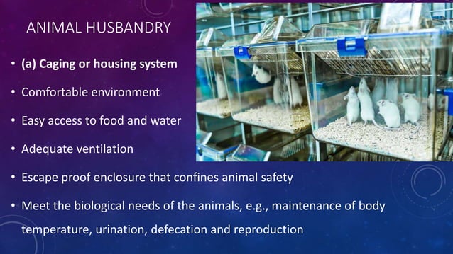 CCSEA guidelines of experiment on animals.pptx | Veterinary Medicine | Pets