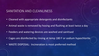 CCSEA guidelines of experiment on animals.pptx